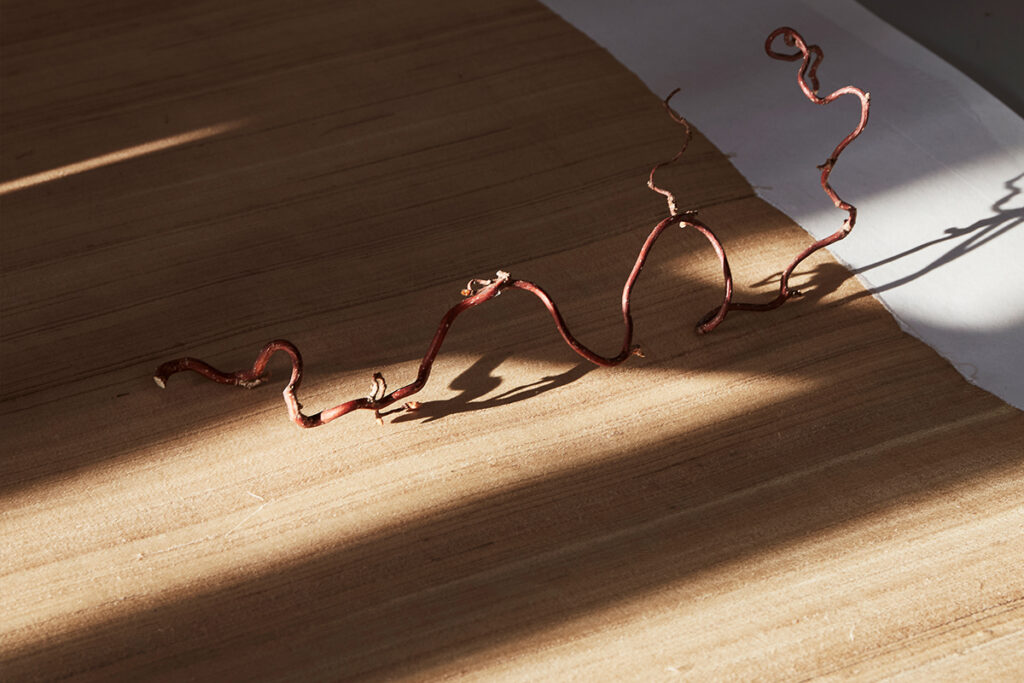 Wallcoverings – Chase Erwin